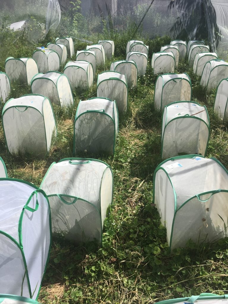 How we do research – Cronies